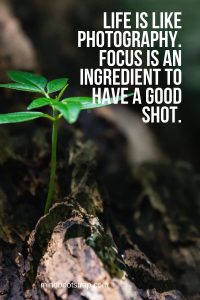 34+ Fun Life Is Like Quotes and Sayings (With Images)