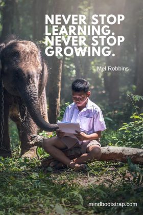 115+ Best Learning Quotes and Sayings To Inspire You (With Images)