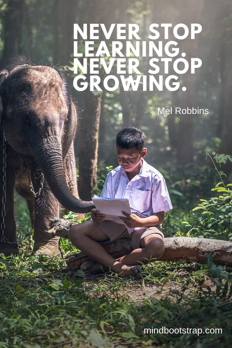 115+ Best Learning Quotes and Sayings To Inspire You (With Images)