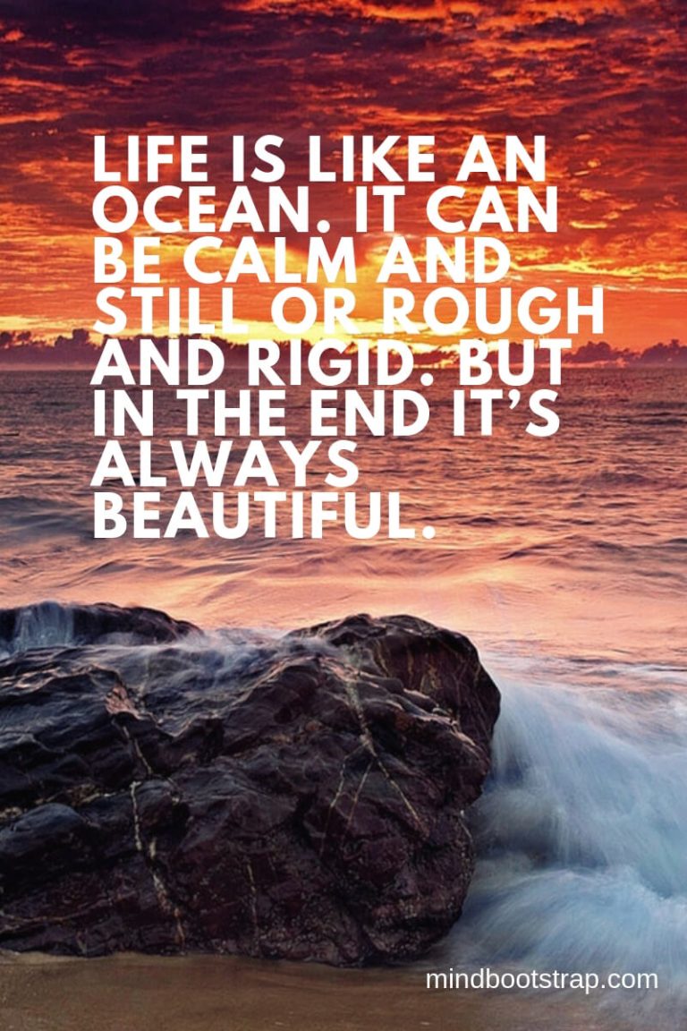 34+ Fun Life Is Like Quotes and Sayings (With Images)