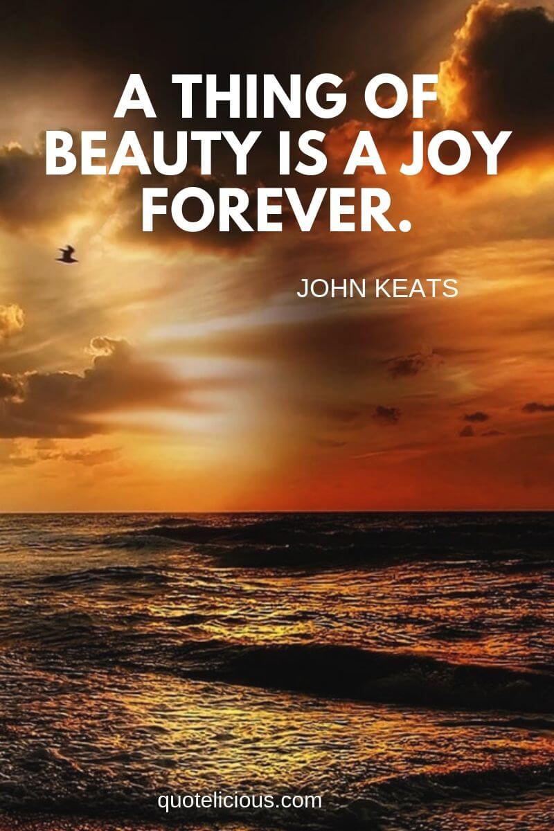 198+ Beautiful Quotes & Sayings on Love, Life, and Nature (With Pictures)