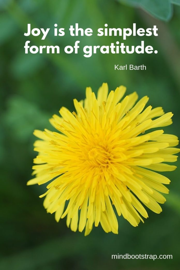 117+ Inspiring Gratitude Quotes and Sayings on Life, Love (Images)