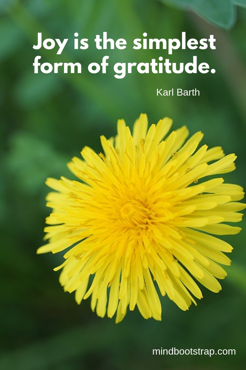 117+ Inspiring Gratitude Quotes and Sayings on Life, Love (Images)