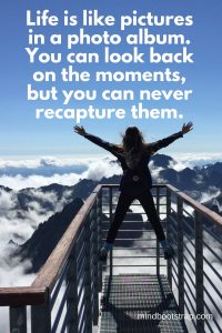 34+ Fun Life Is Like Quotes and Sayings (With Images)