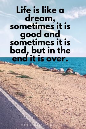 34+ Fun Life Is Like Quotes and Sayings (With Images)