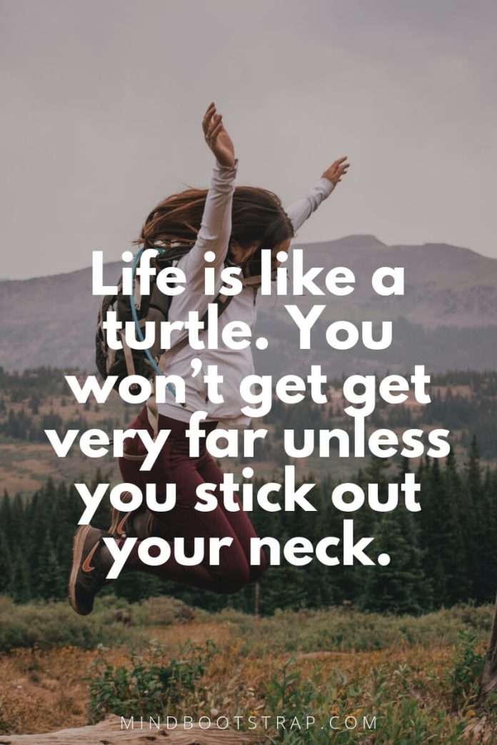 34+ Fun Life Is Like Quotes and Sayings (With Images)