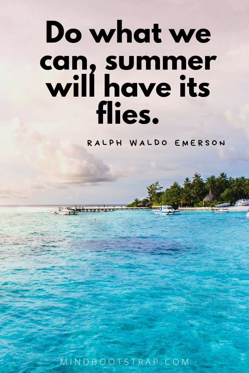 172+ Lovely Summer Quotes and Sayings That Will Warm Your Mind