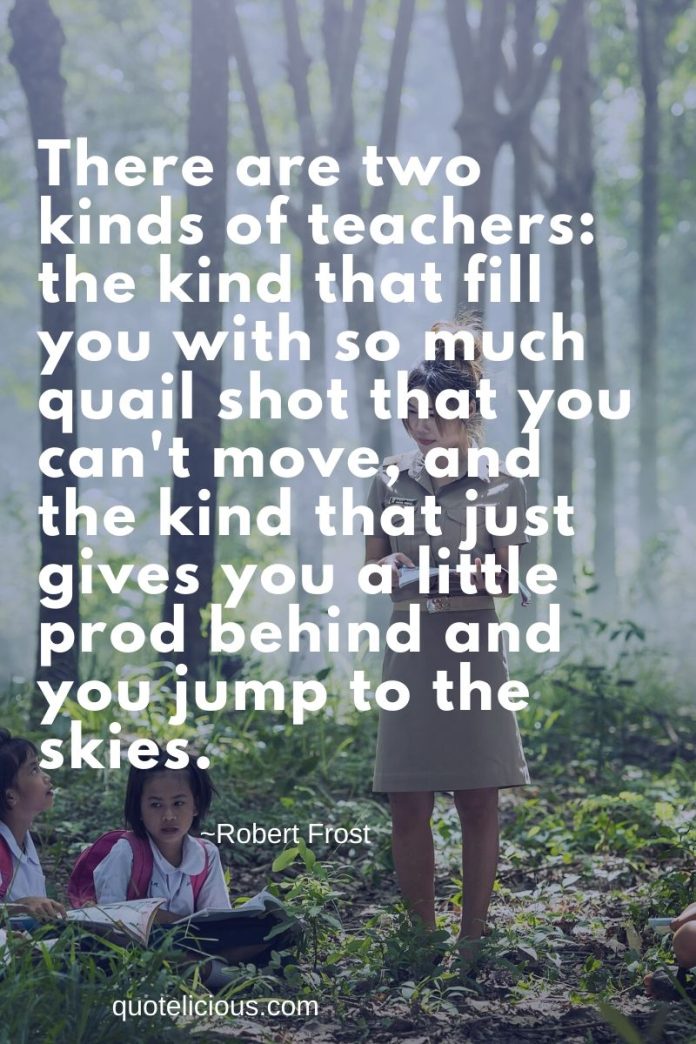 100+ Inspiring Teacher Quotes and Sayings (With Pictures)