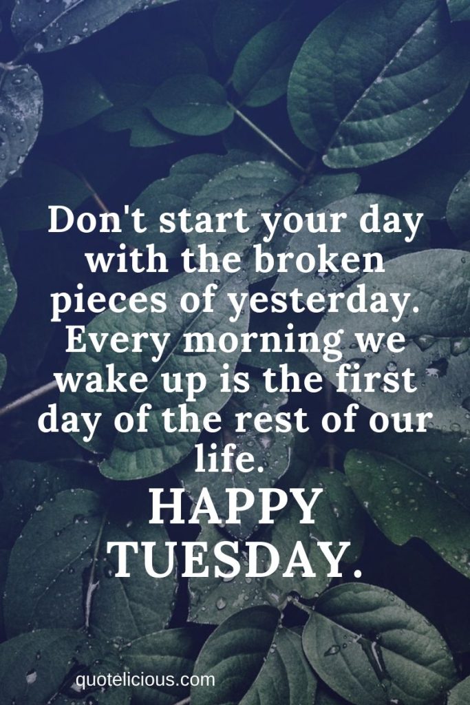 73+ Inspiring Tuesday Quotes and Sayings (With Images) - Quotelicious