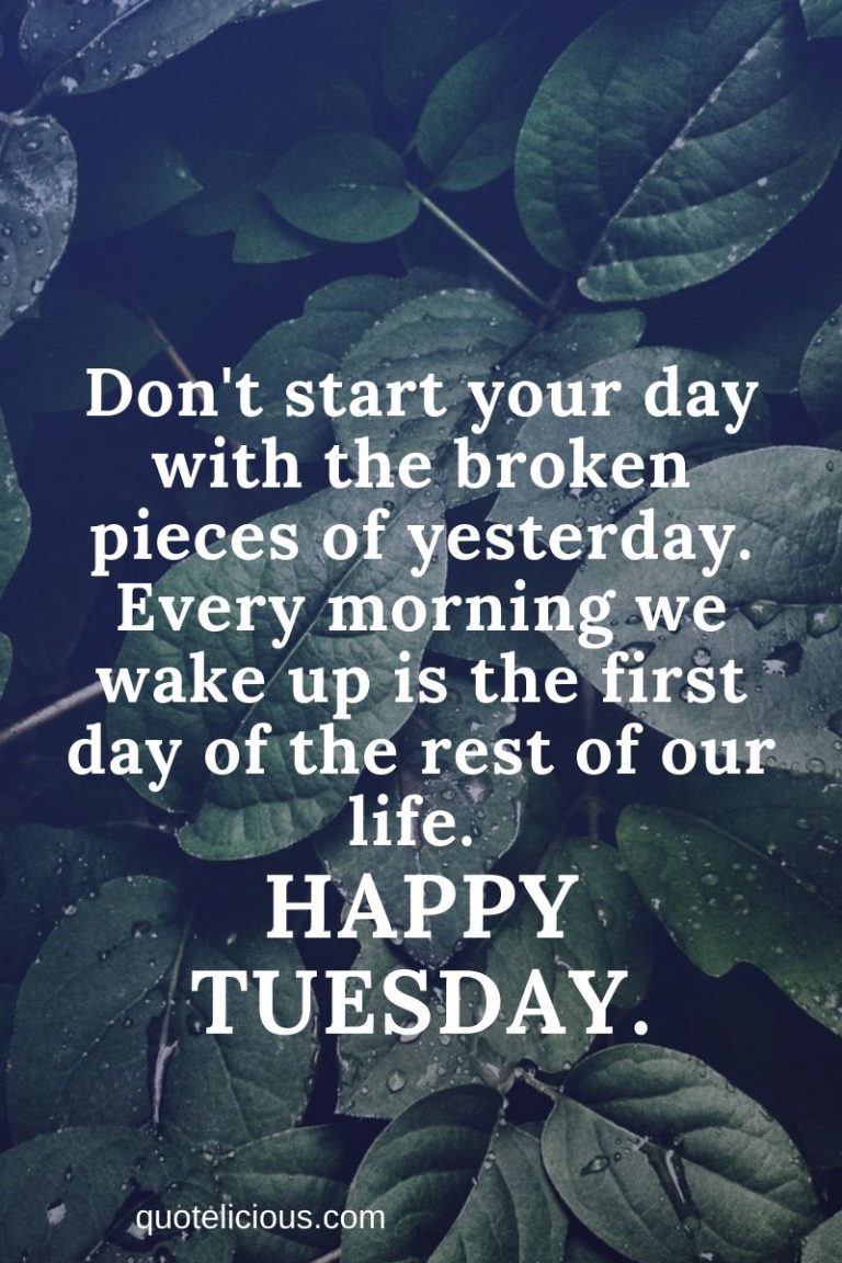 73+ Inspiring Tuesday Quotes and Sayings (With Images) - Quotelicious