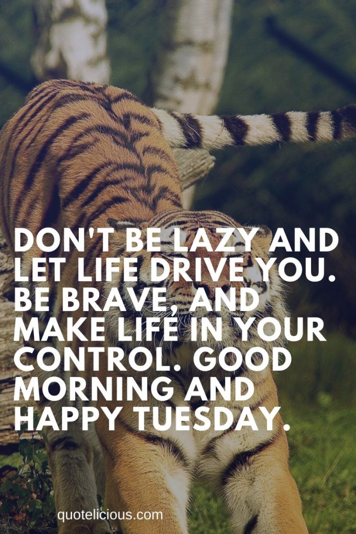 73+ Inspiring Tuesday Quotes and Sayings (With Images) - Quotelicious