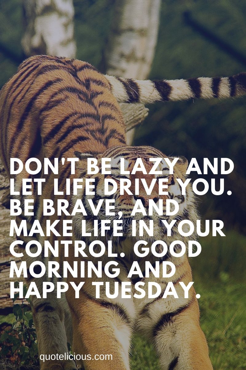 73+ Inspiring Tuesday Quotes and Sayings (With Images) - Quotelicious