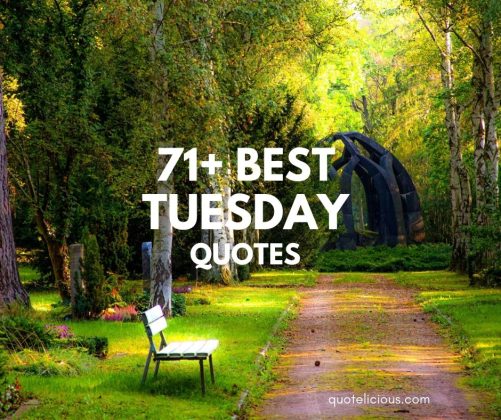 73+ Inspiring Tuesday Quotes and Sayings (With Images) - Quotelicious
