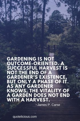 70+ Inspirational Wise Quotes and Sayings On Love, Life, Success