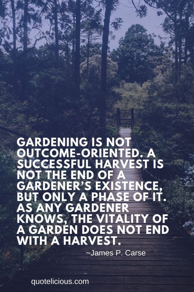 70+ Inspirational Wise Quotes and Sayings On Love, Life, Success