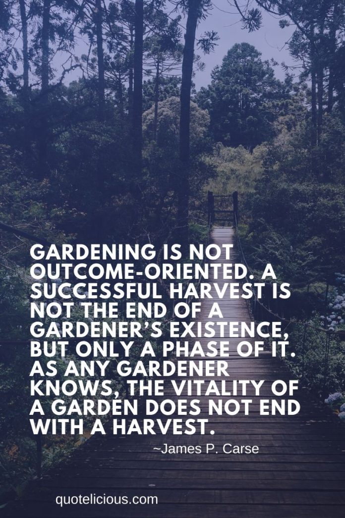 70+ Inspirational Wise Quotes and Sayings On Love, Life, Success