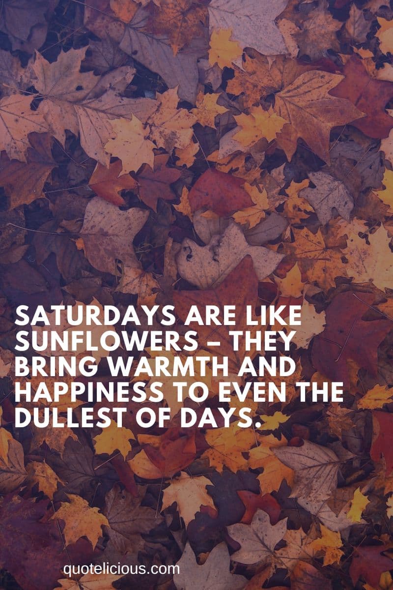 120+ Happy Saturday Quotes: Relax, Recharge, and Celebrate